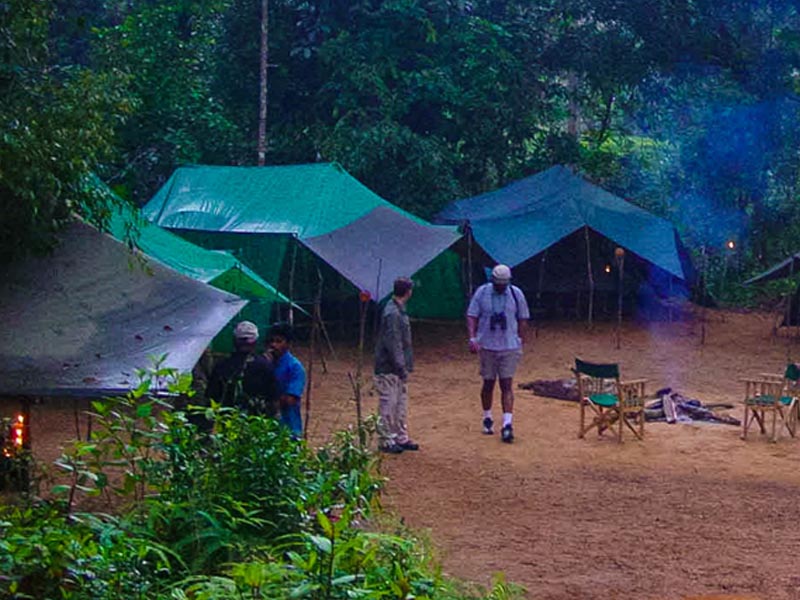 Sinharaja Rainforest Camping Tour | Rustic Tour Guide